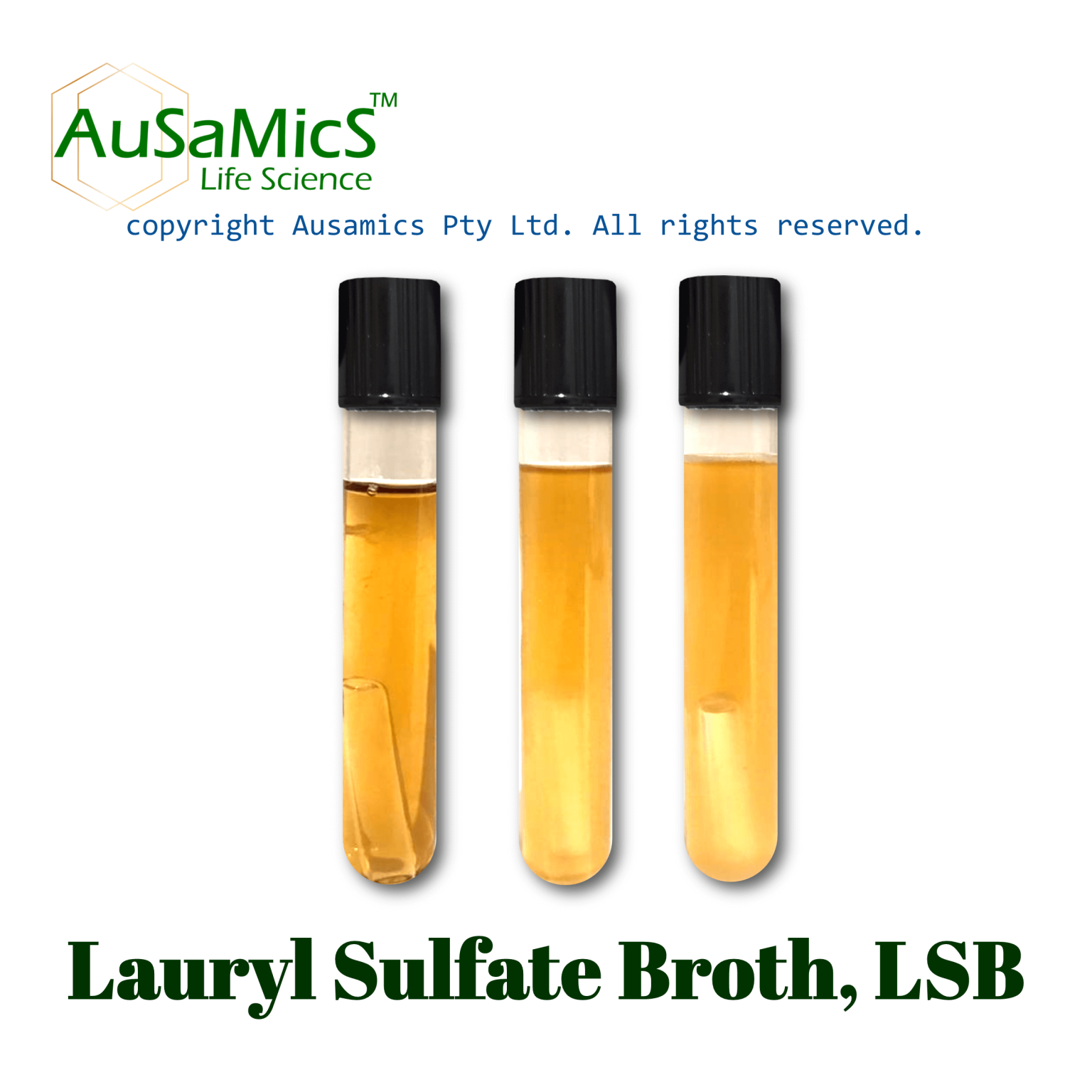 Lauryl Sulfate Broth, LSB | AuSaMicS