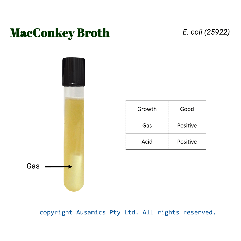 MacConkey Broth | AuSaMicS