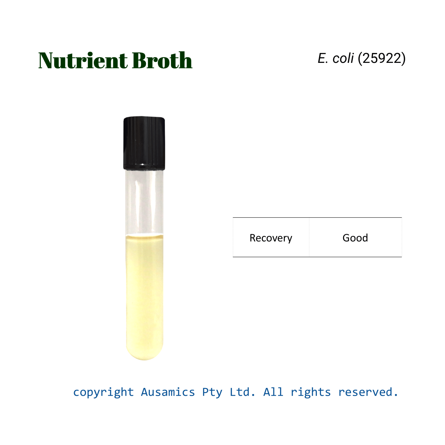 Nutrient Broth | AuSaMicS