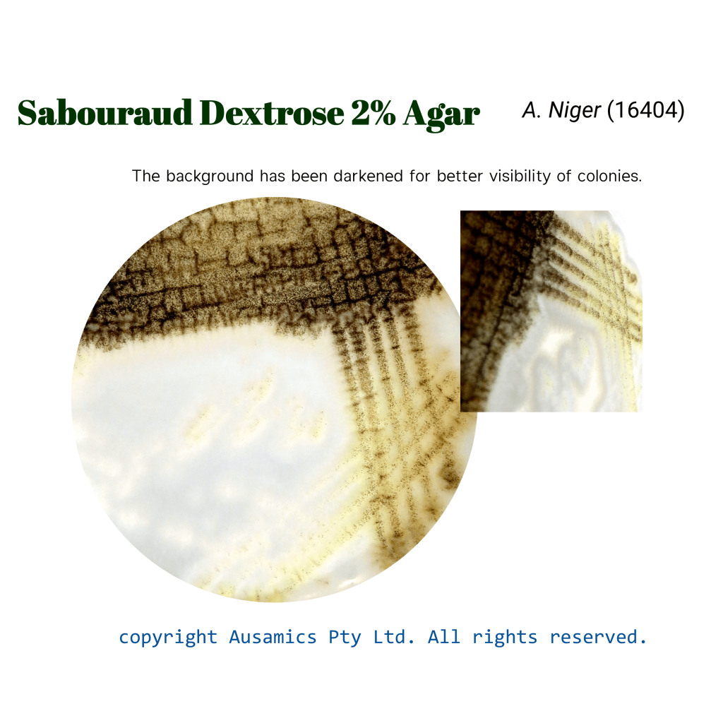Sabouraud Dextrose Agar, SDA | AuSaMicS