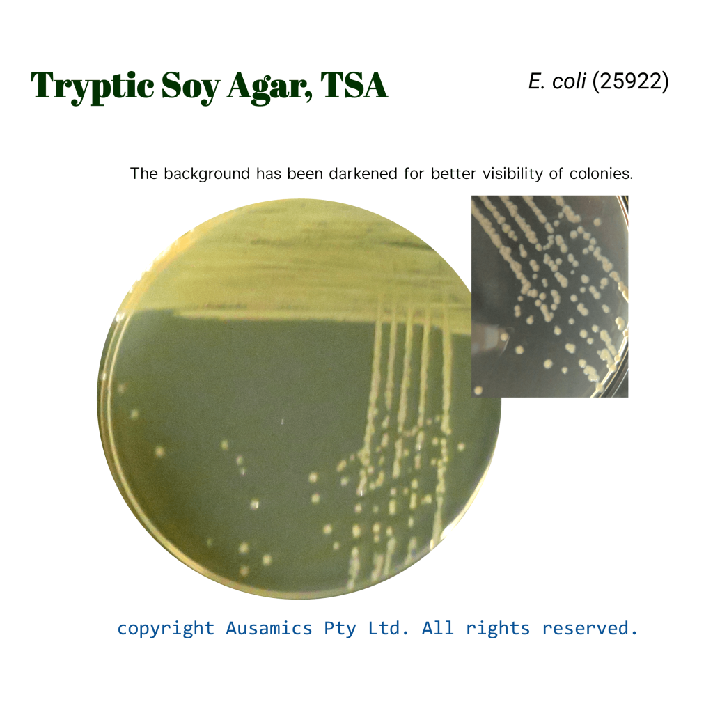Tryptic Soy Agar, TSA | AuSaMicS