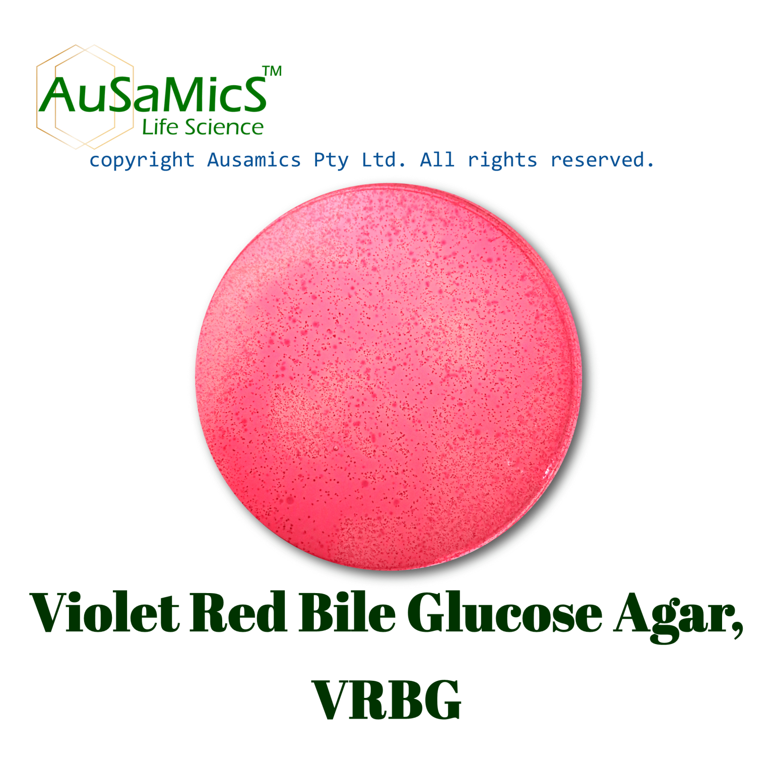 Violet Red Bile Glucose Agar, VRBGA | AuSaMicS